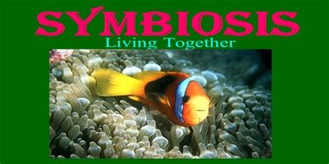 Lecture On Symbiosis Assignment Point