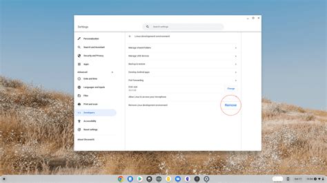 How To Set Up Linux On Chromebook Technipages
