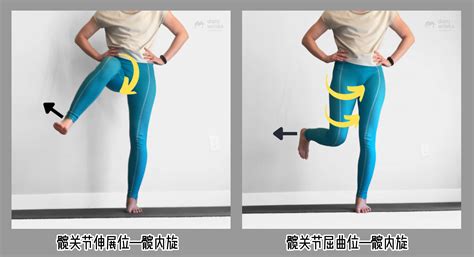 如何改善髋关节内旋活动范围（与膝痛、腰椎不稳定相关） 哔哩哔哩
