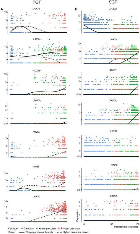 Combining Single Cell Rna Sequencing With Spatial Transcriptome