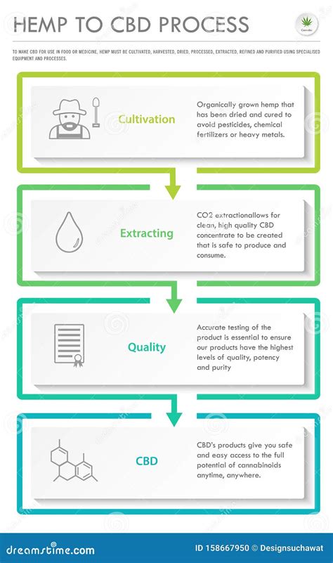 Neurotransmitter Process With Synapse Vesicle And Receptors Outline Diagram Vector Illustration