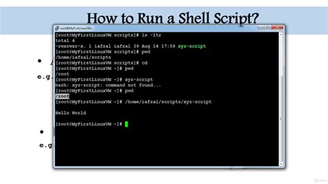 7 how to run a shell script youtube