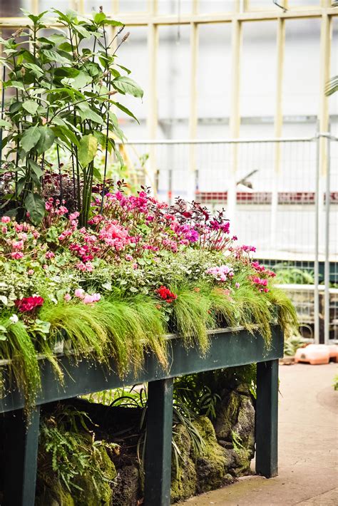 bernard amoah medium