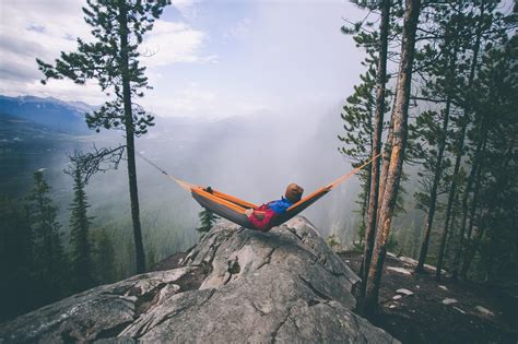 Relaxing Forest Wallpapers Wallpaper Cave