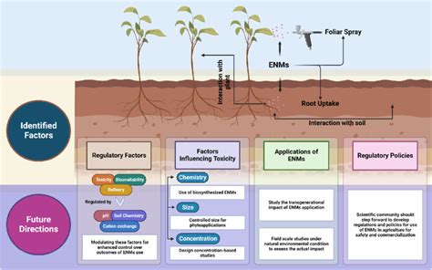 Schematic Diagram Representing Research Gaps And Key Areas To Focus On Download Scientific
