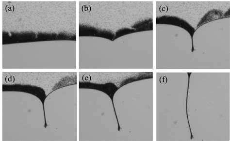 3 Optical Micrographs Demonstrating The Self Assembly Process A