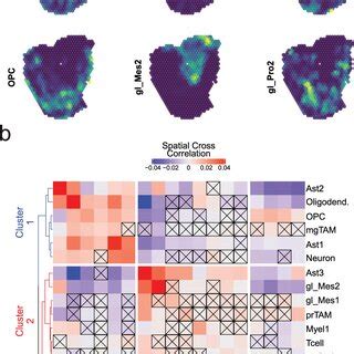 Spatial Transcriptomics Identifies Significant Spatial Relationships Download Scientific