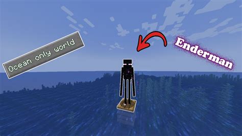 What If I Spawn Enderman In Ocean Only World YouTube