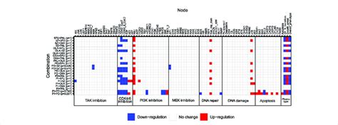 Heatmap Showing Differential Activation Of Model Nodes Upon Combined