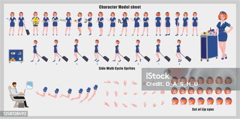 아름다운 스튜어디스 워크 사이클 애니메이션과 캐릭터 디자인 모델 시트 소녀 캐릭터 디자인 및 턴어라운드 벡터 등장인물에 대한 스톡 벡터 아트 및 기타 이미지 Istock