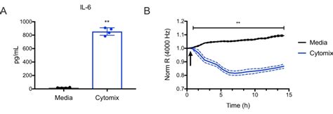 Isolation Of Primary Mouse Lung Endothelial Cells