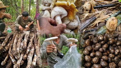 29 5 2025 ဃုအီၣ်ကုၤ အီၣ်မ့ၤဝံၣ်မး Youtube