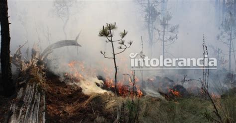 Al Menos 1 Mil 600 Hectáreas De Campo “arrasadas” En Puebla Por Incendios