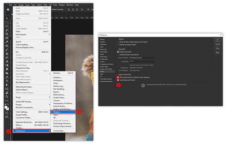 do you need an internet connection with the photoshop plugin help