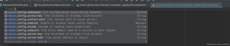 Spring Boot Nacos Config 配置中心的例子，自定义dataid Groupid Namespacespringboot