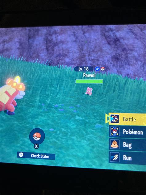 Got My First Shiny R Pokemonscarletviolet