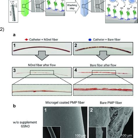 Plastic Binding Peptides Have Been Included In Sophisticated Designs Plastic Binding Peptides Have Been Included In Sophisticated Designs