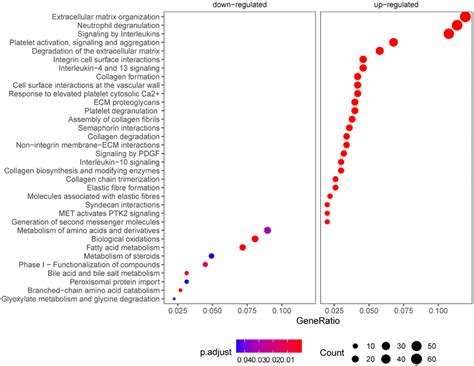 Gene Set Enrichment Analysis Enrichment Of Reactome Pathways By Download Scientific Diagram