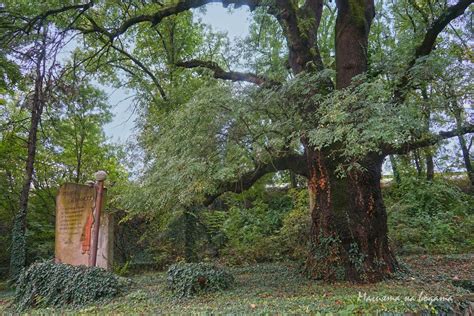 Изворът на Белоногата две различни чешми Магията на водата