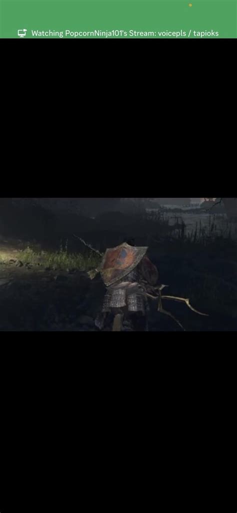 Rescale Bug On Fullscreen Stream Rdiscordapp