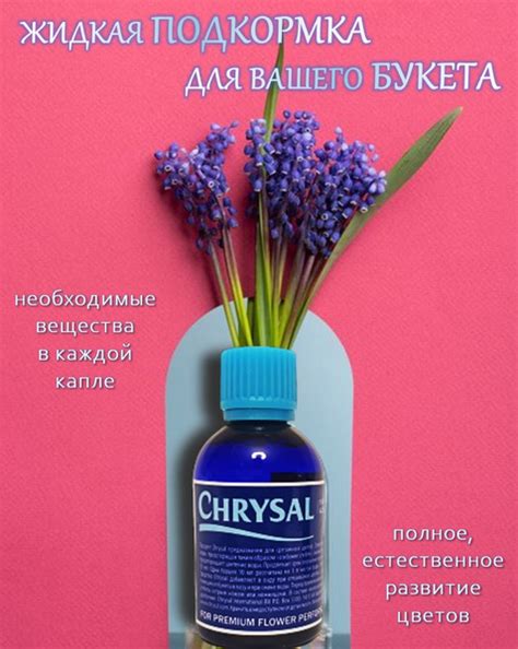 Chrysal Универсальная подкормка для цветов 50 мл - купить с доставкой ...