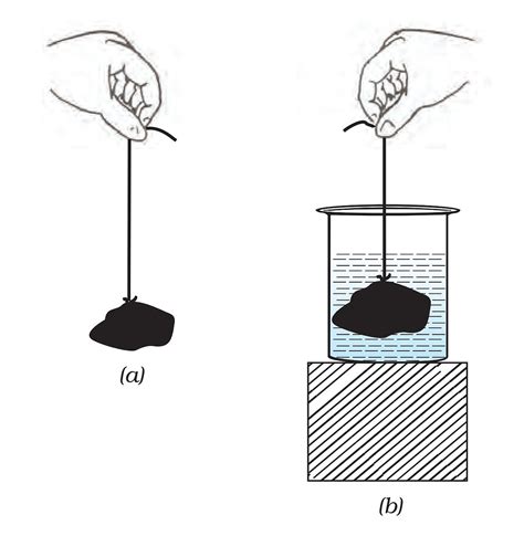 What Is Archimedes Principle Class 9 Science Notes Teachoo