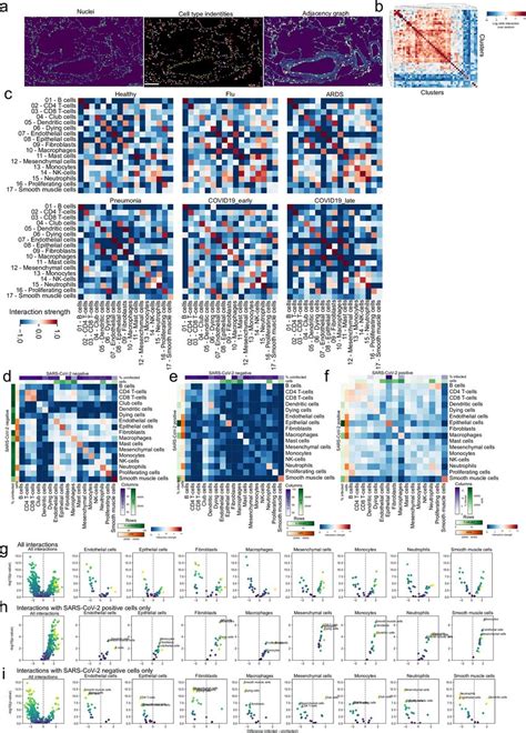 Mapping Cellular Interactions Between Sars Cov2 Infected And