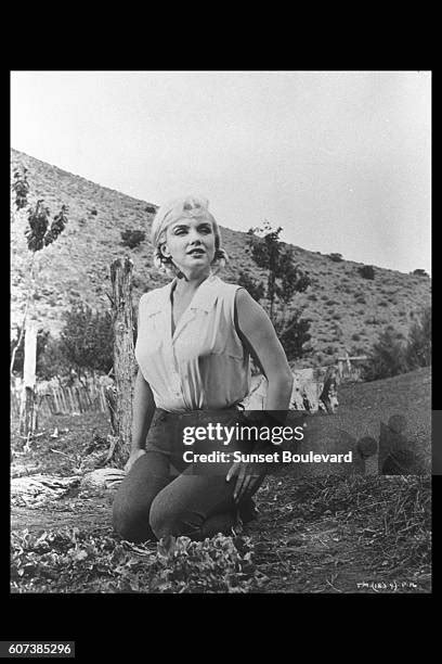 Marilyn Singer Fotografías E Imágenes De Stock Getty Images