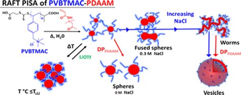 通过pisa的热敏性聚阳离子稳定的纳米颗粒。用盐控制颗粒形态 Macromolecules X Mol