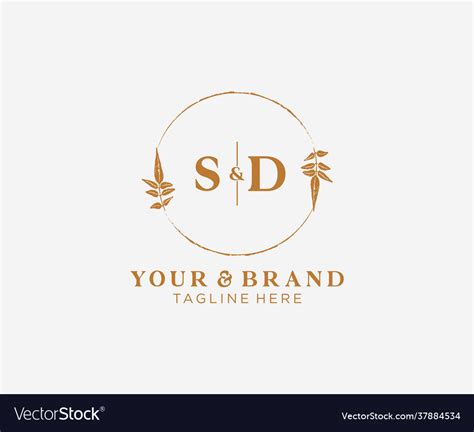 Initial Sd Letters Floral Frames Botanical Vector Image