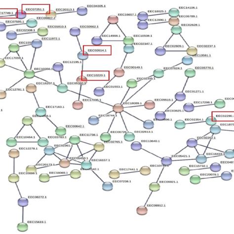 A Basic Stem Loop Structures Of Predicted Micrornas Mirdeep2 Was