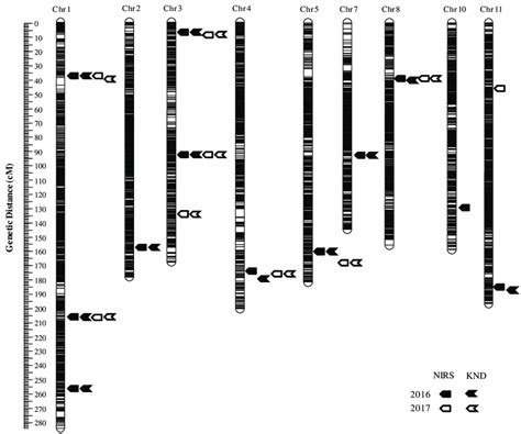 High Density Linkage Map Based On Genotyping By Resequencing Showing Download Scientific