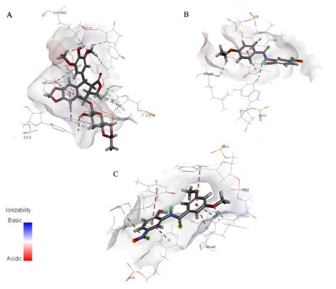 Molecular Interactions Of The Topo Iiα Enzyme A Docked Pose Of Download Scientific Diagram