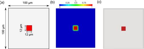 A Schematics Of The 2 D Numerical Simulation Domain B Initial