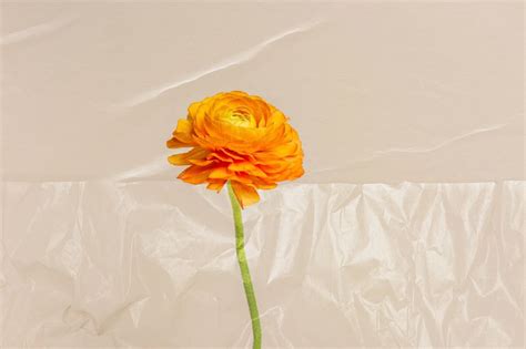 Paper Texture Effect Premium Photo Effects Filters Rawpixel