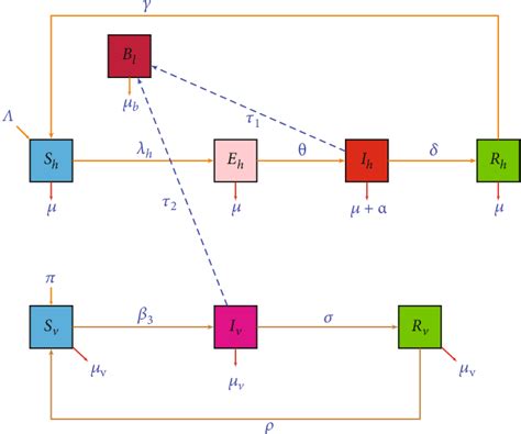 Figure 1 From A Mathematical Model Analysis For The Transmission Dynamics Of Leptospirosis