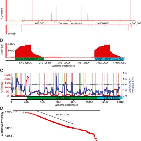 Rna Seq Mapping Results A A Birds Eye View Of Global Rna Seq