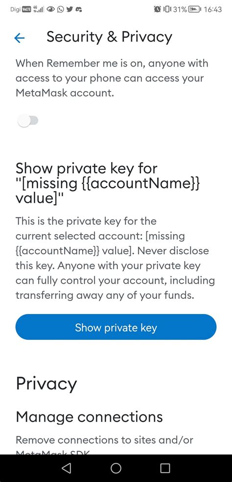 I Cant See The Main Page General Metamask