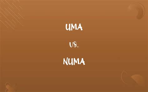 Uma Vs Numa Know The Difference