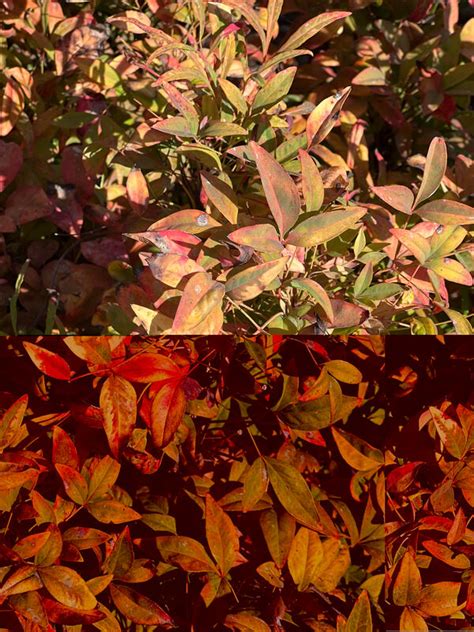 Code Hacking Photography