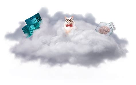 Openstack Services Openstack Cloud Computing Aptira