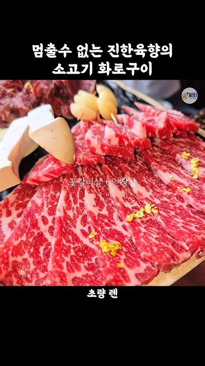 일본식 참숯 화로구이에 사케까지 곁들이기 좋은곳 봉스타 Shorts 부산 초량 소고기 렌 Youtube