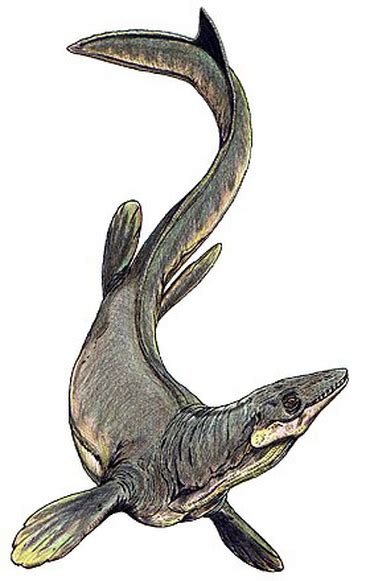 Discuss Everything About Dinopedia Fandom