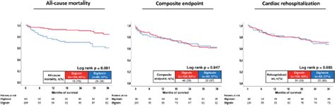 Prognostic Impact Of Digoxin Vs Digitoxin Treatment On All Cause Download Scientific Diagram
