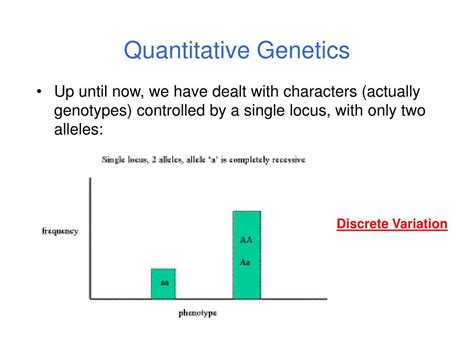 Ppt Quantitative Genetics Powerpoint Presentation Free Download Id673646