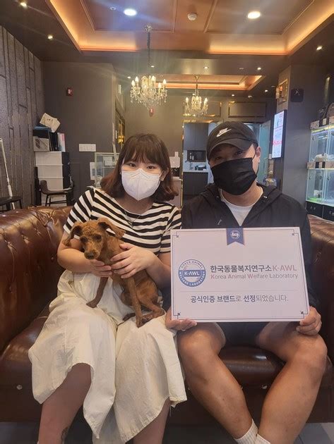 푸들 순돌이 티컵말티푸분양하는곳 티컵푸들분양하는곳 티컵강아지분양하는곳 화이트비숑프리제분양 화이트포메라니안분양 화이트말티즈분양