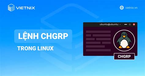 7 Ví Dụ Chi Tiết Về Cách Sử Dụng Lệnh Chgrp Trong Linux