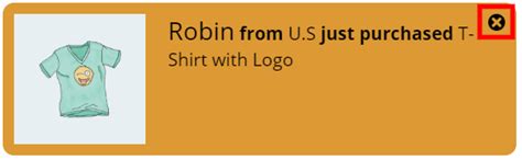 documentation for live sales notifications for woocommerce plugin pi