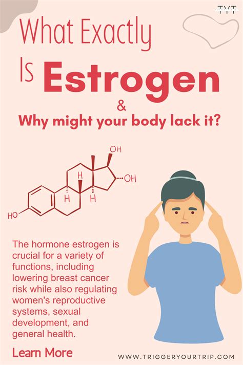 Find Out The Benefits Of Estrogen In Aging Artofit