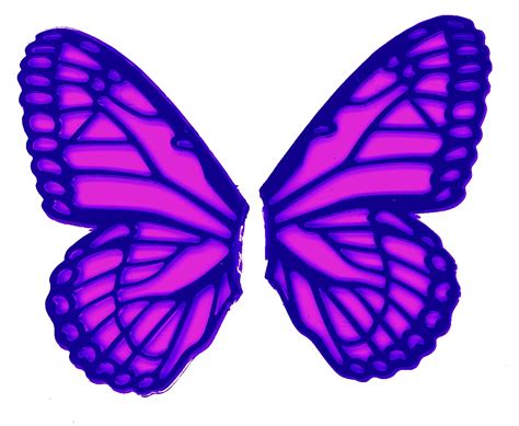 Butterfly Wings Clip Art Clipart Best